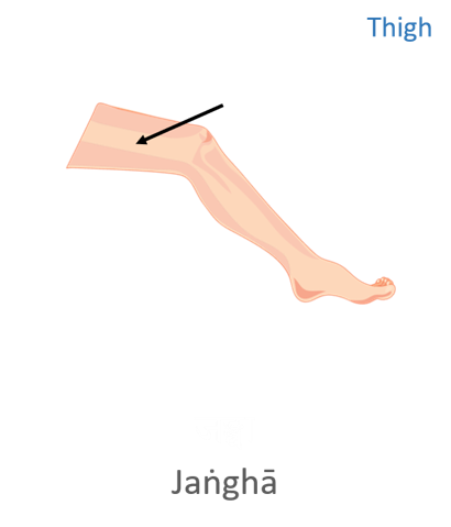 Parts of the Body